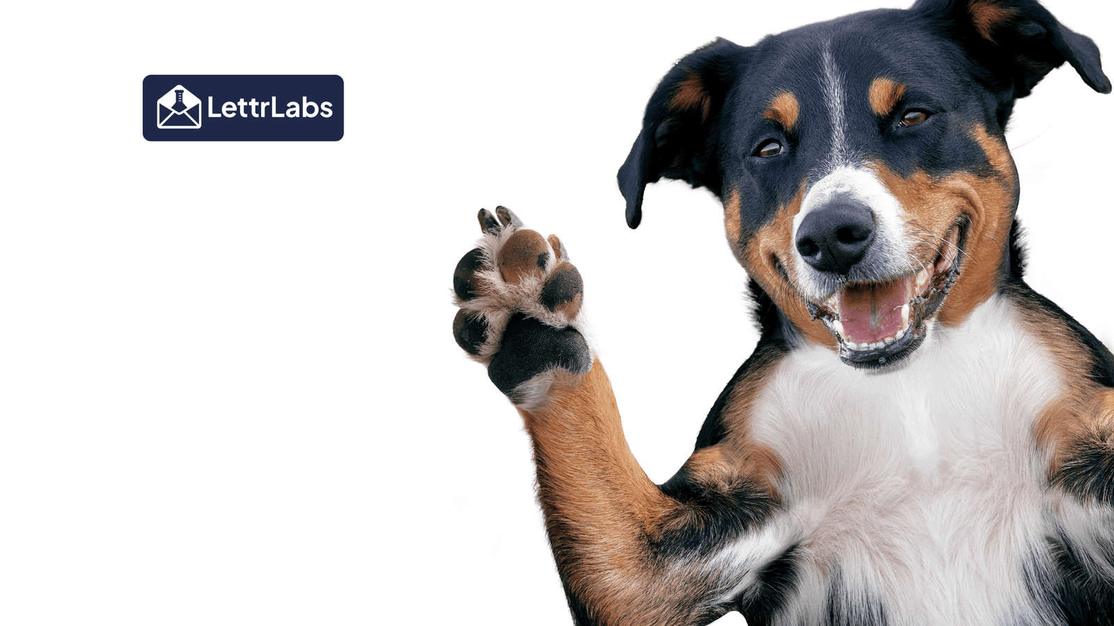 30 Unique Ways to Say Farewell Message to Coworker | LettrLabs